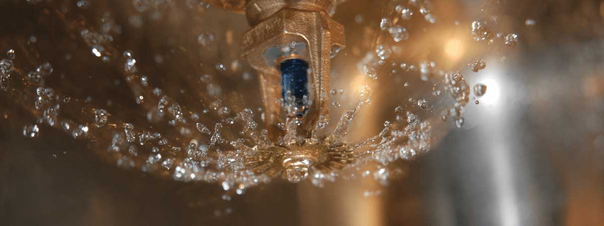 Fire Sprinkler Water Damage Clean Up - Pro Water Damage Inc